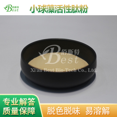 源头供应小球藻活性肽粉 小球藻低聚肽/小球藻粉脱色脱味易吸收