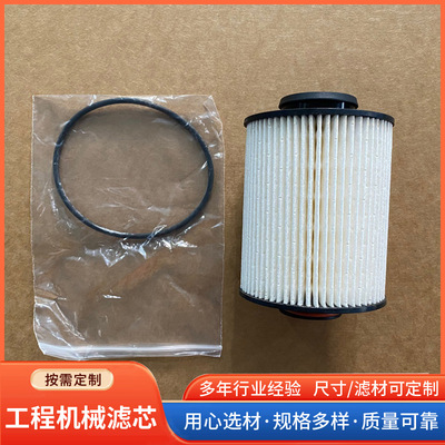 FS19765G柴油滤清器滤芯 燃油柴油滤清器油水分离器总成