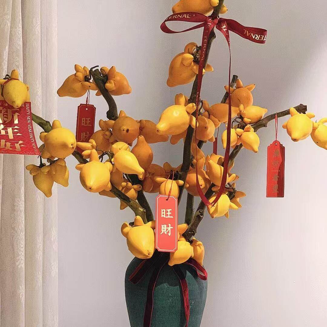 【空运包邮】五代果小猪佩奇果金玉满堂小众花材可做干花