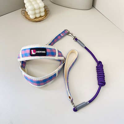 小型犬牵引绳狗炼子泰迪