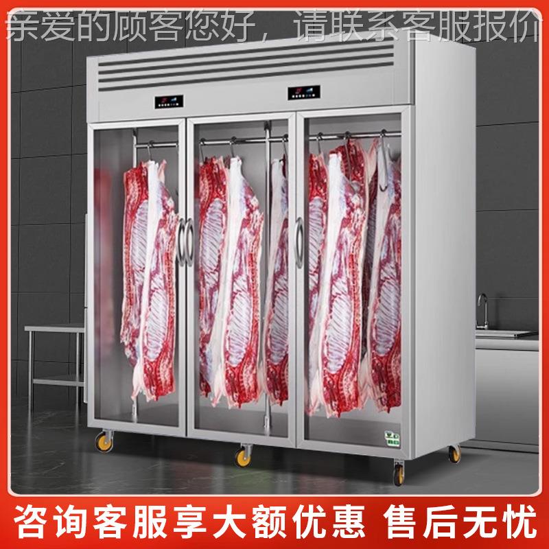挂肉商用596柜立柜式牛羊肉藏展示柜熟成柜单双门鲜肉排酸冰冷保