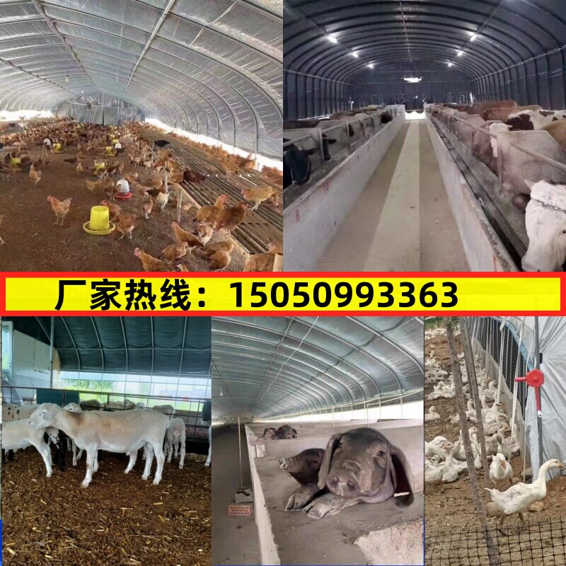养殖大棚骨架钢管全套养殖鸡鸭鹅猪牛羊大棚全套食用菌温室大棚