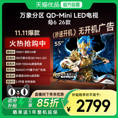雷鸟鹤6 26款 55英寸MiniLED分区4K 288Hz超高刷平板电视机55R69A
