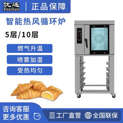 5盘电热风循环炉-高品质电机YSN-5D