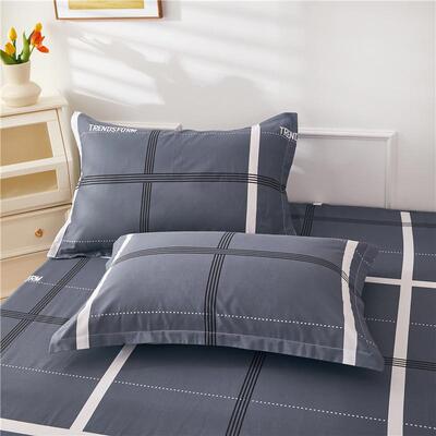 纯棉枕套100全棉单人学生宿舍枕头套48cmx74cm一对装2家用枕芯套