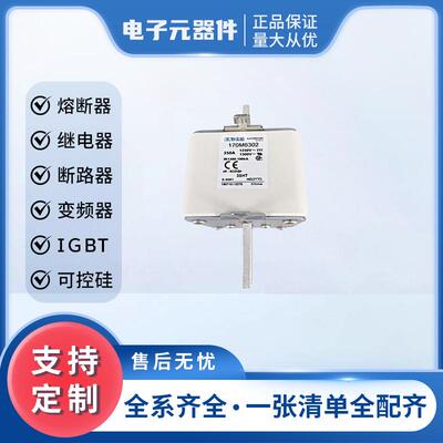 快速熔断器/保险丝/熔芯 现货 170M6302 170M6303 量大从优现货