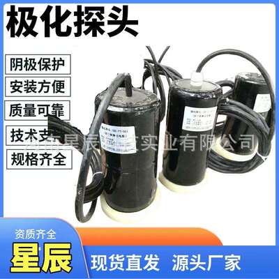 双试片阴极保护极化探头 可测试断电点位抗干扰参比电极 PCCP管道