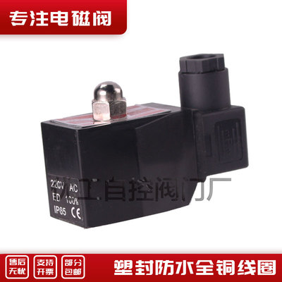 不锈钢304电磁控制开关阀 防水雾电磁阀220v24v常开dn154分6分1寸