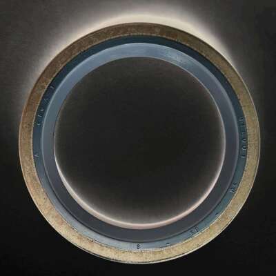 CFW B1FUDSL 17-28-20-30-40-52-42-7 50-65-8原装外骨架进口油封