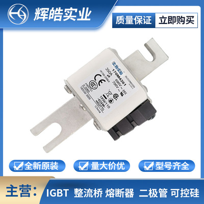 170M5148 170M5398 熔断器 熔断器配件 保险丝 电子元器件