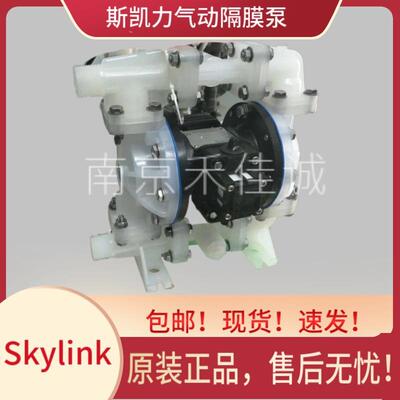 SKYLINK斯凯力1/2寸塑料泵PS15 PP-AT-SP-PP-SP-00气动隔膜泵