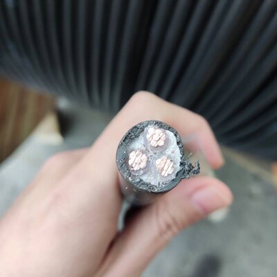 川胜国标ZRYJV阻燃铜芯电缆线6/10平方汽车充电桩电线3芯护套线