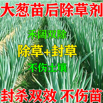 大葱苗后专用除草剂洋田地