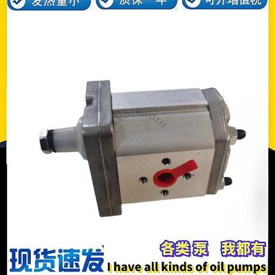 意大利DUPLOMATIC齿轮油泵GP10027R95B20NH GP10020R95 GP100马达