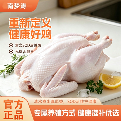农家散养150天土鸡科学喂养专属饲料营养鸡新鲜现杀整鸡健康禽肉