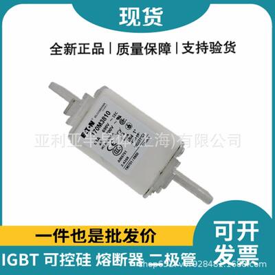 快速熔断器170M3810 170M3811 自恢复熔断器 半导体电子元器件