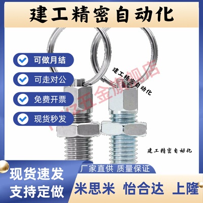 ZAC40 41 42 43 44 45-M6 M8 M10 M12分度销 拉环型GN717粗牙