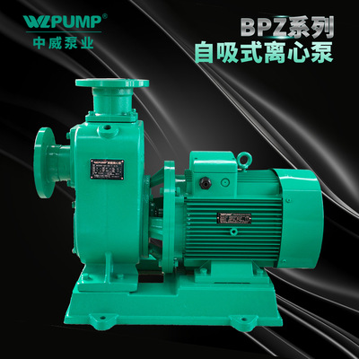 BPZ80-50-50-15/2中威泵业WLPUMP井用河水自吸灌溉管道增压全自