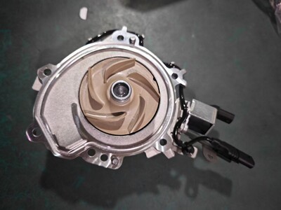 JDE40573  LR092953  LR123392 LR123906 LR154597  T2H55366