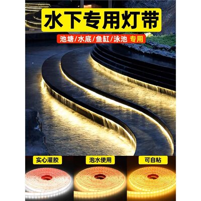 TRIAC24V水下工程款灯带led灯带条灌胶户外池水下防水软灯带室外