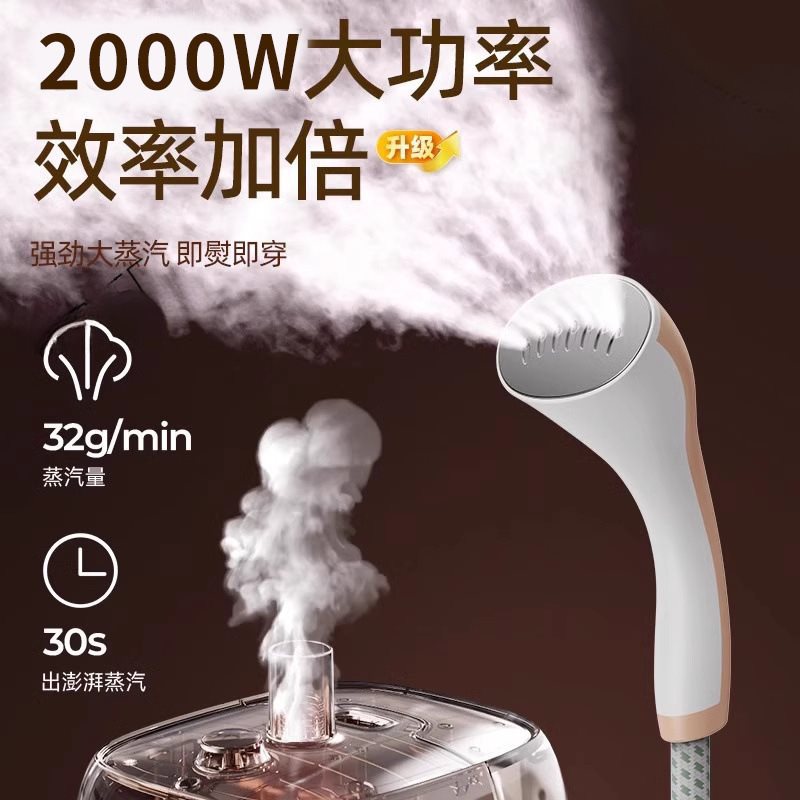 德国立式手持挂烫机2025新款家用商用服装店全自动蒸汽熨烫机熨斗