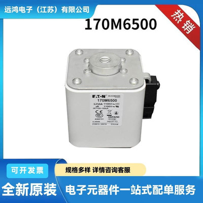 巴斯曼快速熔断器 保险丝170M6500 170M6540 170M6814原厂原盒