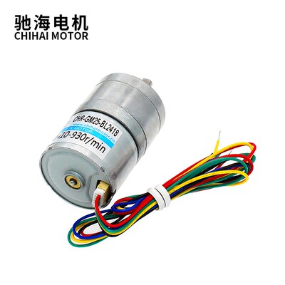 工厂直销25BL 2418直流无刷减速电机大扭力金属齿轮长寿命310马达