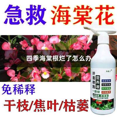 海棠花营养液专治黄叶枯萎落叶不开花枝干光秃不发芽直喷液体肥料