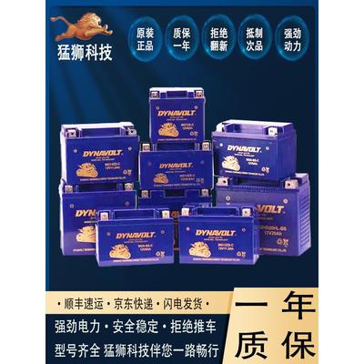 无极梦狮电池300R RR交流电源DS 250r 500R交流电源DS 525R 650DS