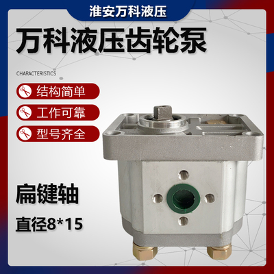 齿轮泵 液压油泵CBN-F310 F314 F306 F320 F325 F316淮安万科液压