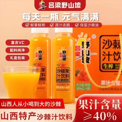 礼盒吕梁沙棘汁山西特产果汁饮料
