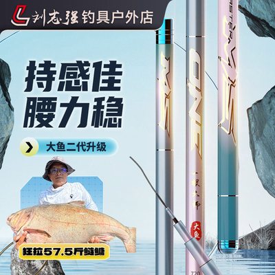刘志强一根大师大物鱼竿鲢鳙碳素