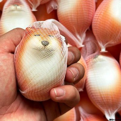 创意狗蛋玩偶柴犬蛋捏捏乐慢回弹解压玩具沙雕搞笑办公室减压礼品