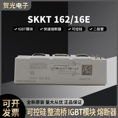 全新原装西门康可控硅模块SKKT162/16E SKKT106/16E  SKKT330/16E