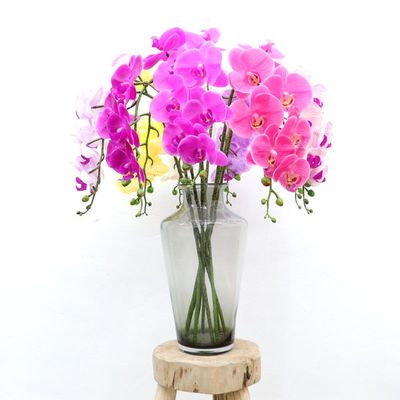 极速真实手感高仿真单枝r花 蝴蝶兰仿真花 单支花假兰花客厅装饰