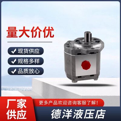 斯克CONCENTRIC齿轮泵WP09A1B050/060/080/110/140/160R液压帮浦