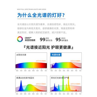 客网红球吊灯泡泡厅中山灯具星现代简S12028约法式奶油风卧室主灯