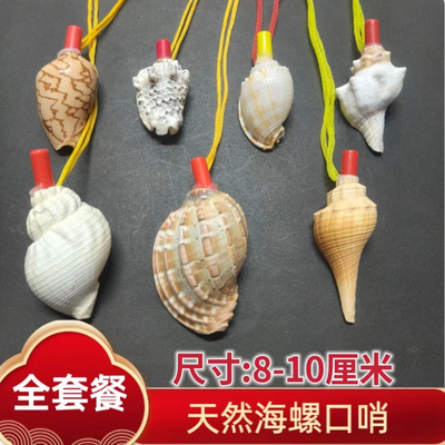 天然大海螺贝壳口哨号角可吹