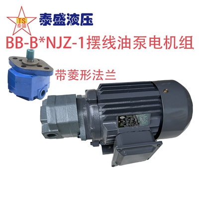 BB-B25NJZ-1摆线油泵电机送普票