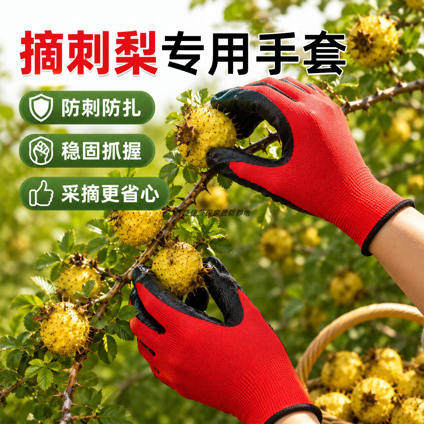 摘刺梨专用手套防扎防刺加厚耐磨防滑透气园艺采摘板栗花椒月季用