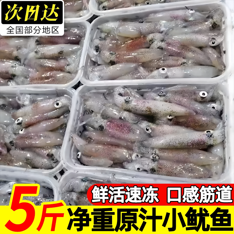 新鲜小管鱿鱼白灼鱿鱼冷冻迷你灯管鱿鱼大笔管鱼小乌贼海鲜水产