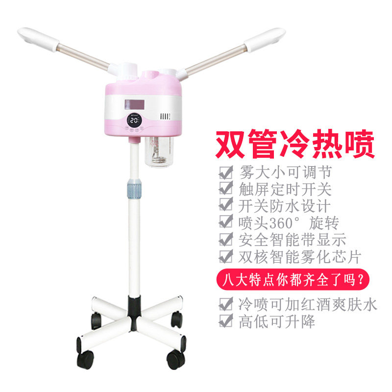 美容院冷热双喷蒸脸仪泰东家用喷雾机商用型蒸脸美容仪中山泰东电
