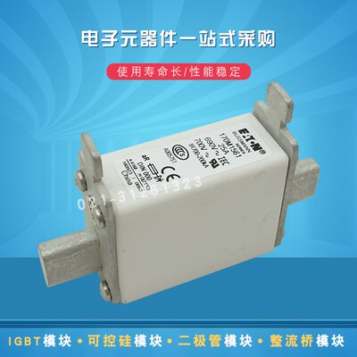 巴斯曼快速熔断器170M1532 1534 1535 1558 1559 1560 1561 1562
