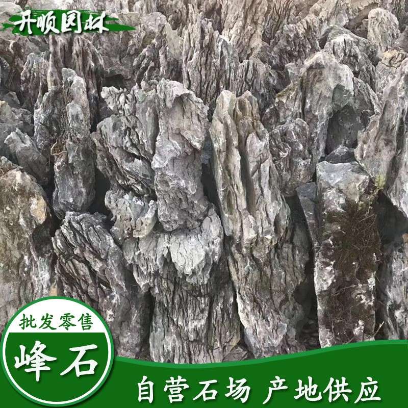 园林设计假石山设计观赏河滩石草坪石锋型YSFS-006英德大石石