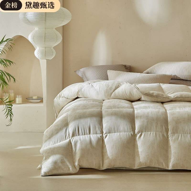 202厚6新款加厚羽毛被95鹅绒丝被芯羽绒春被加CAT保暖子双人秋冬
