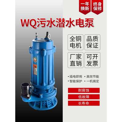 污水泵220型v三ZUS相小家用抽粪泥浆排机污农用抽水380V扬高程潜