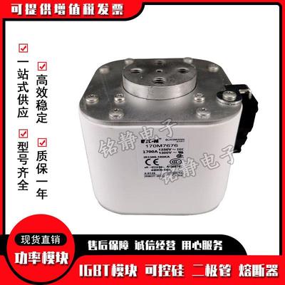 170M7513 170M7515 170M7516 170M7978巴斯曼熔断器现货