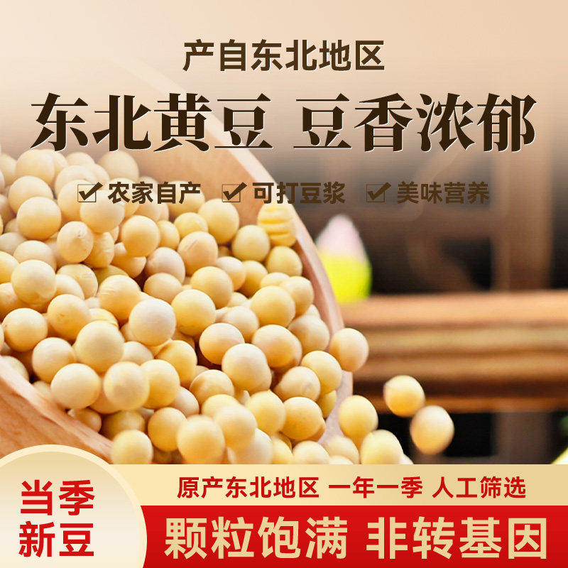 东北黄豆新货打豆浆专用农家自种非转基因五谷杂粮高蛋白黄大豆