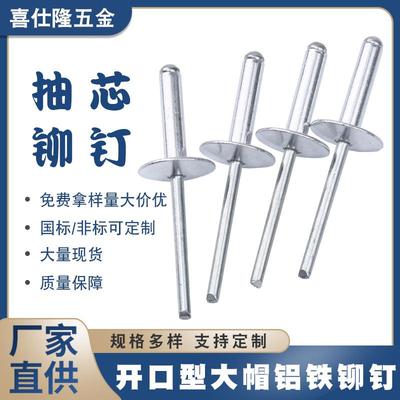 喜仕隆大帽铝铁抽芯铆钉拉钉开口型不锈钢拉铆钉铁铆钉铝铆钉