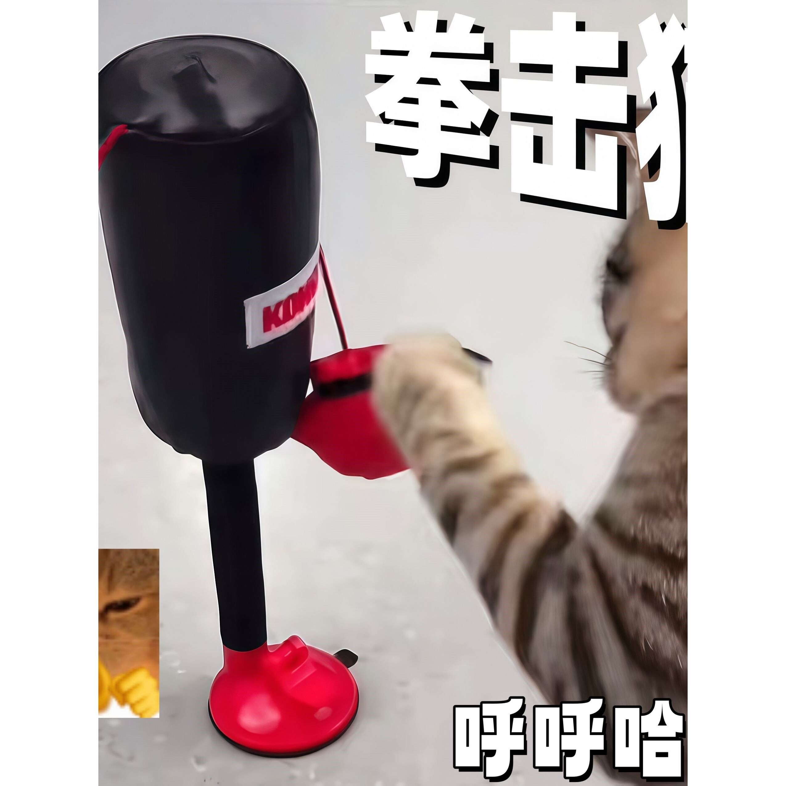 猫咪拳击手套趣味逗猫玩具猫咪自嗨解闷沙袋吸盘立柱宠物互动游戏